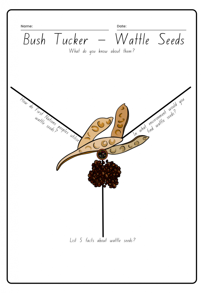 BUSH TUCKER ‘Y’ CHARTS | TIPIAC