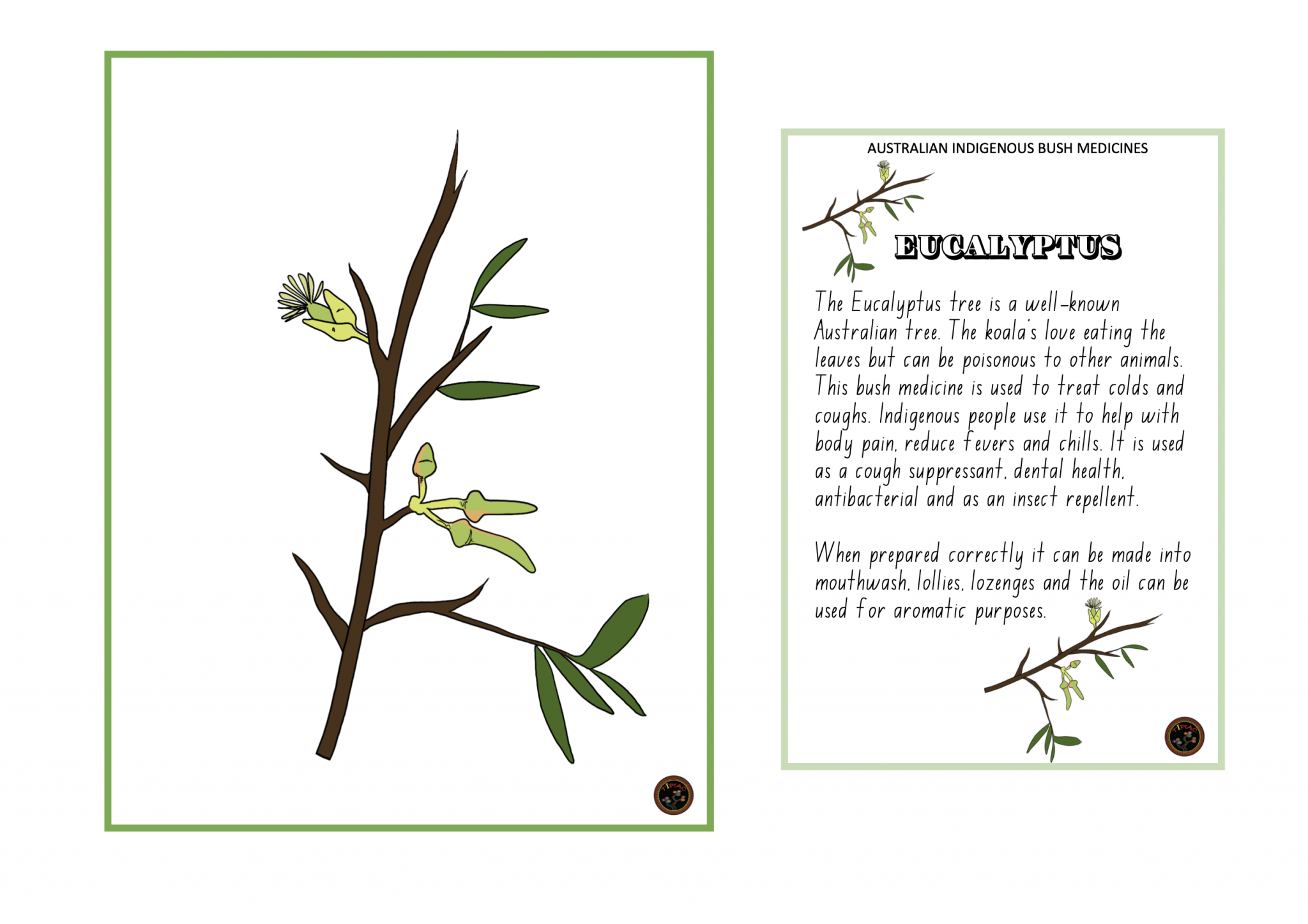 Stage 2: Science Unit | TIPIAC